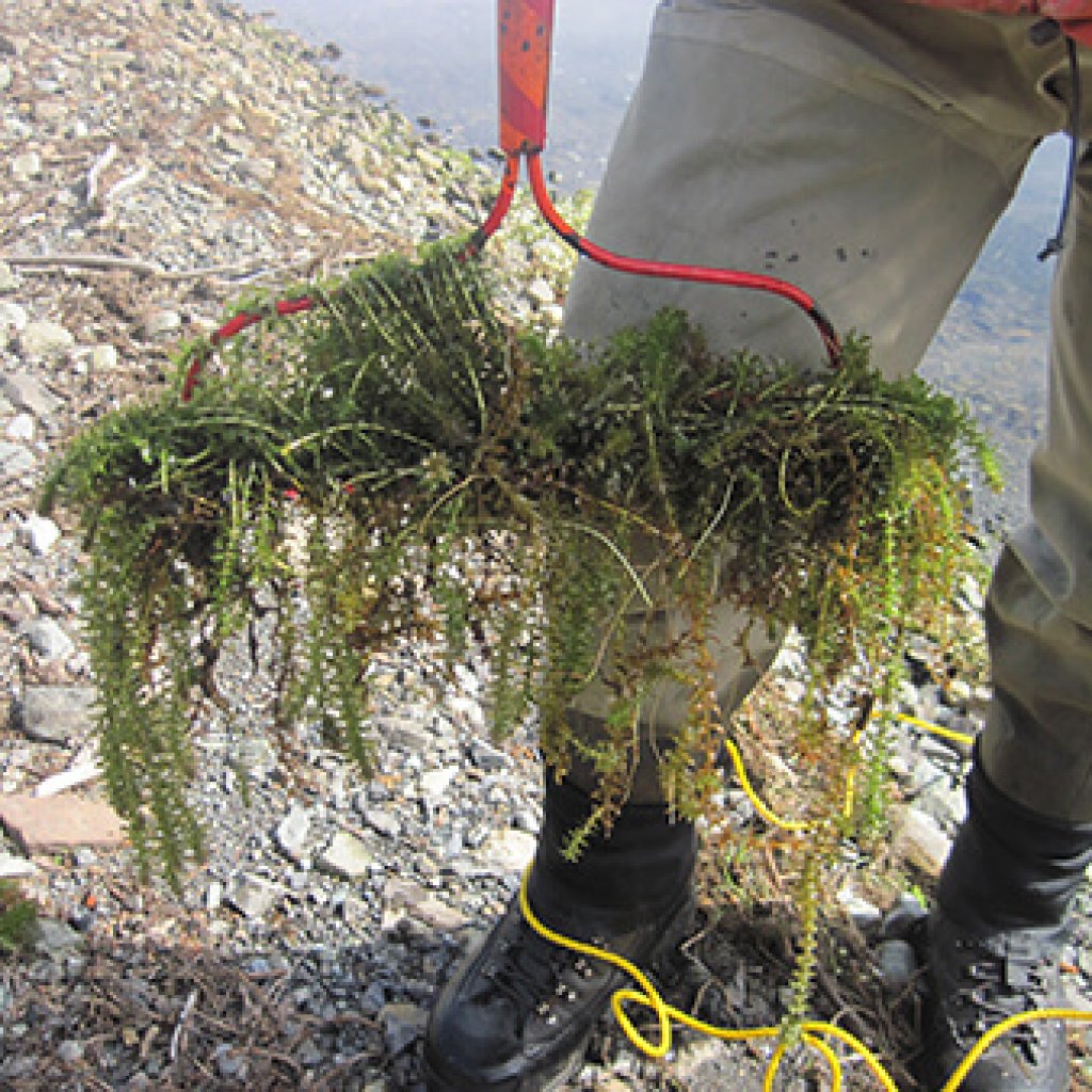 figure-2-usfs - Copper River Watershed Project