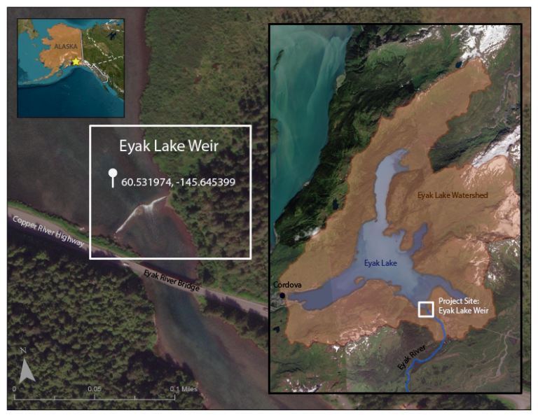Eyak Lake Weir - Copper River Watershed Project
