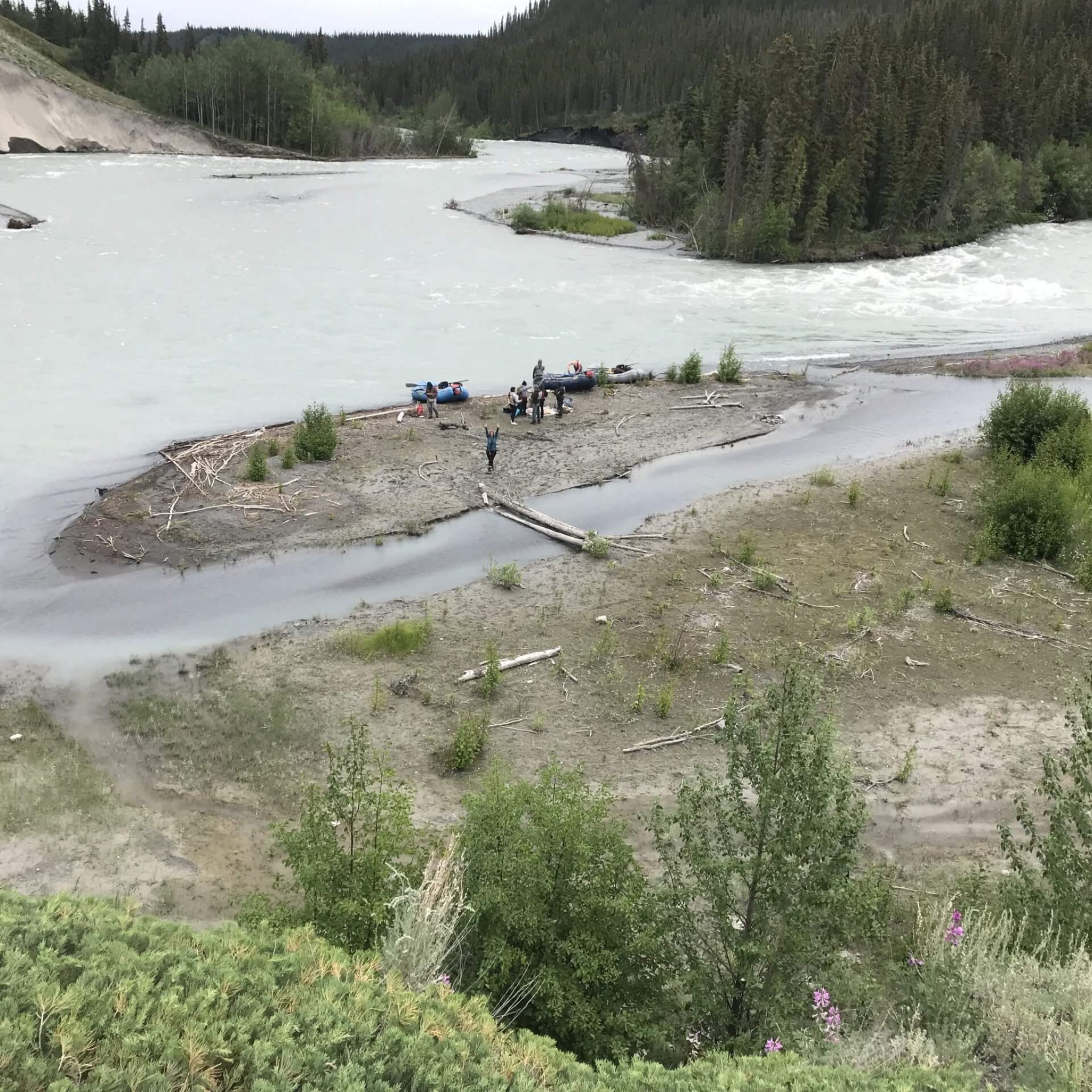 Floatable Weed Smackdown - Copper River Watershed Project